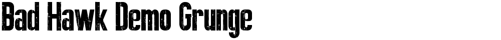 Bad Hawk Demo Grunge - 字亩网